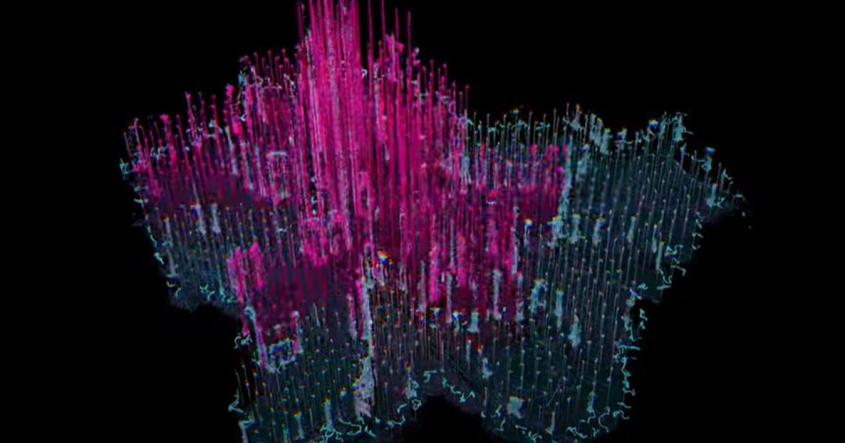 "Melody of Budapest" by Milán Janosov — School of Data Science